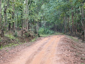 Security camps, the game changer in the Maoist fight – The Core IAS